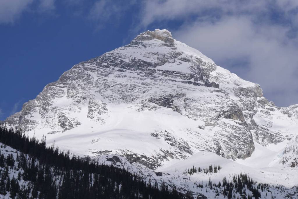Avalanche Canada begs caution as wind slab buries Rogers Pass skier ...